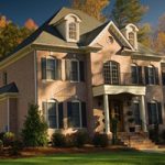 Root Rot 101: How to Identify, Treat, and Prevent Root Rot in Trees