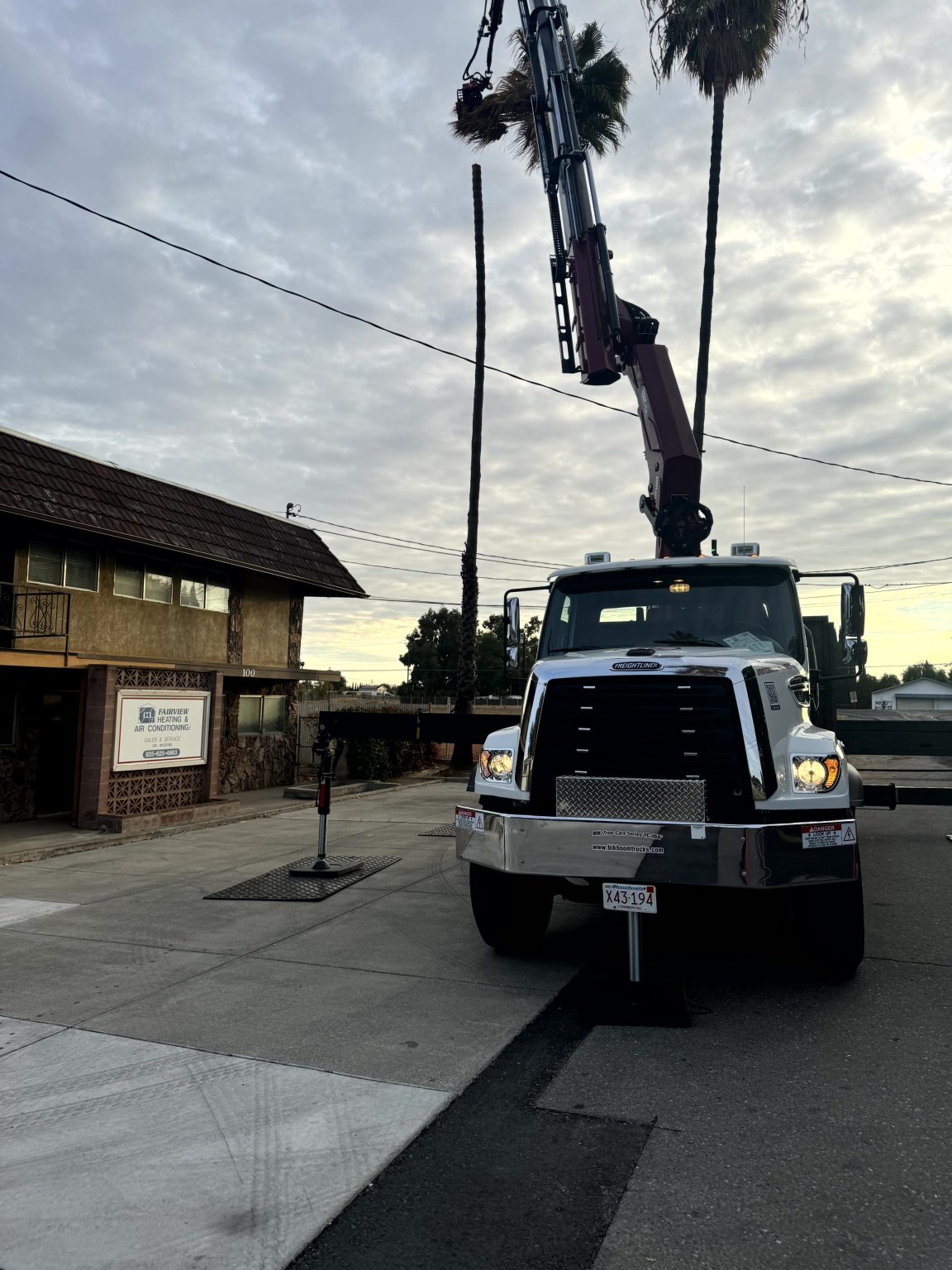 Expert Tree Care In The East Bay | Evergreen Tree Care